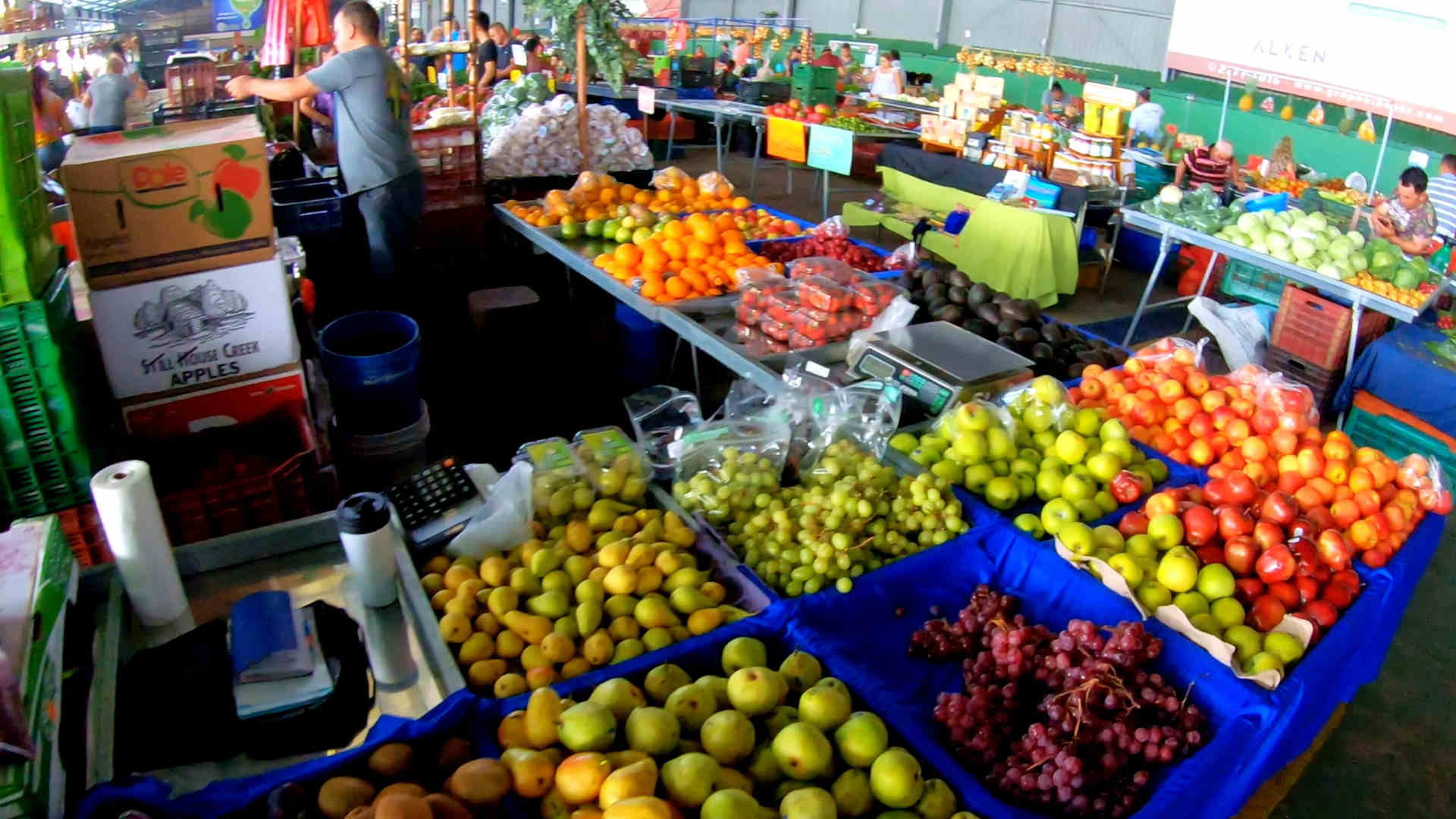 San Isidro Farmers Market: Top In Costa Rica - Sights and Sounds